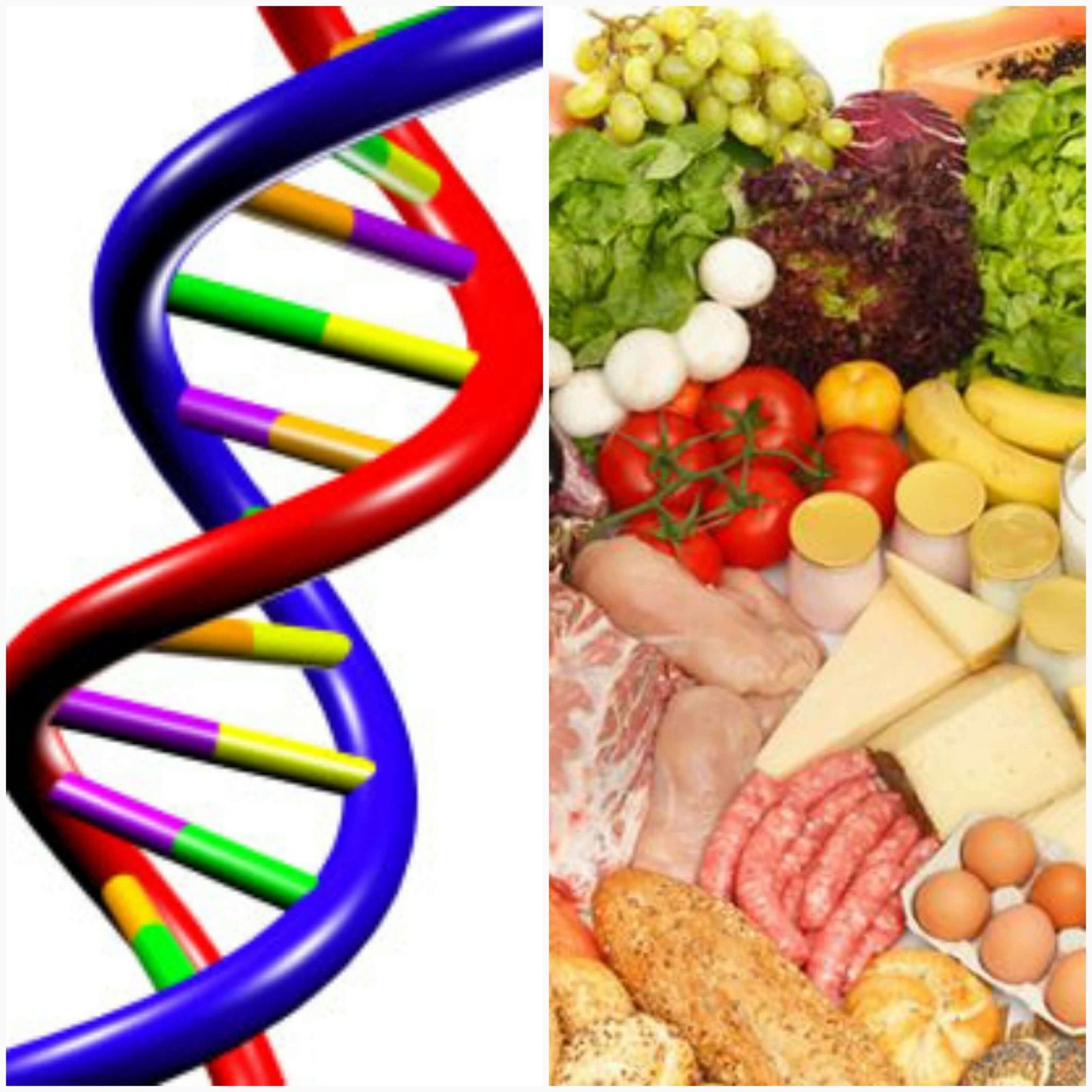 Nutrigenetic test: personalize your diet to prevent diseases